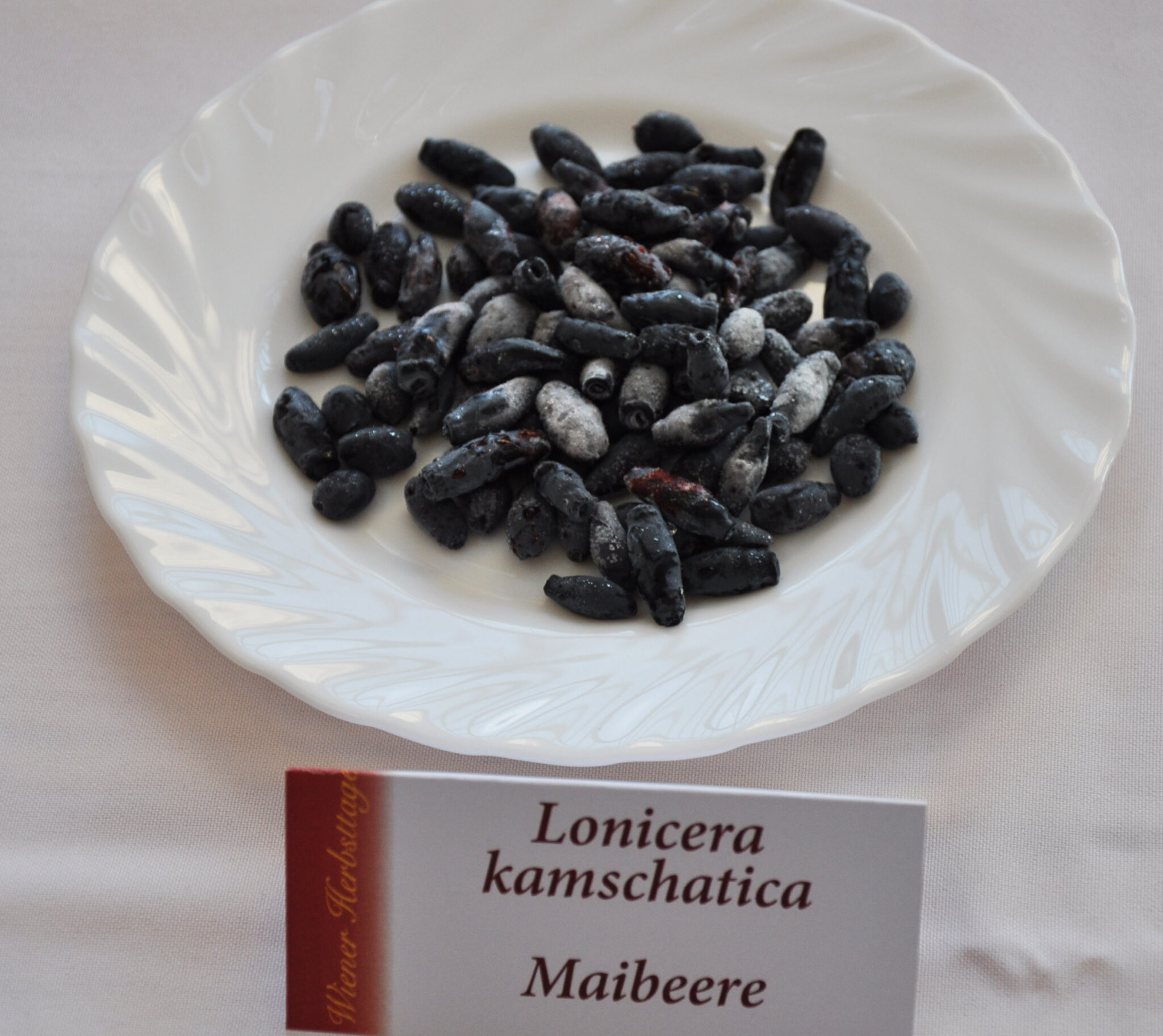 Obstsortenausstellung seltenes, besonderes und wildes Obst – Wiener ...