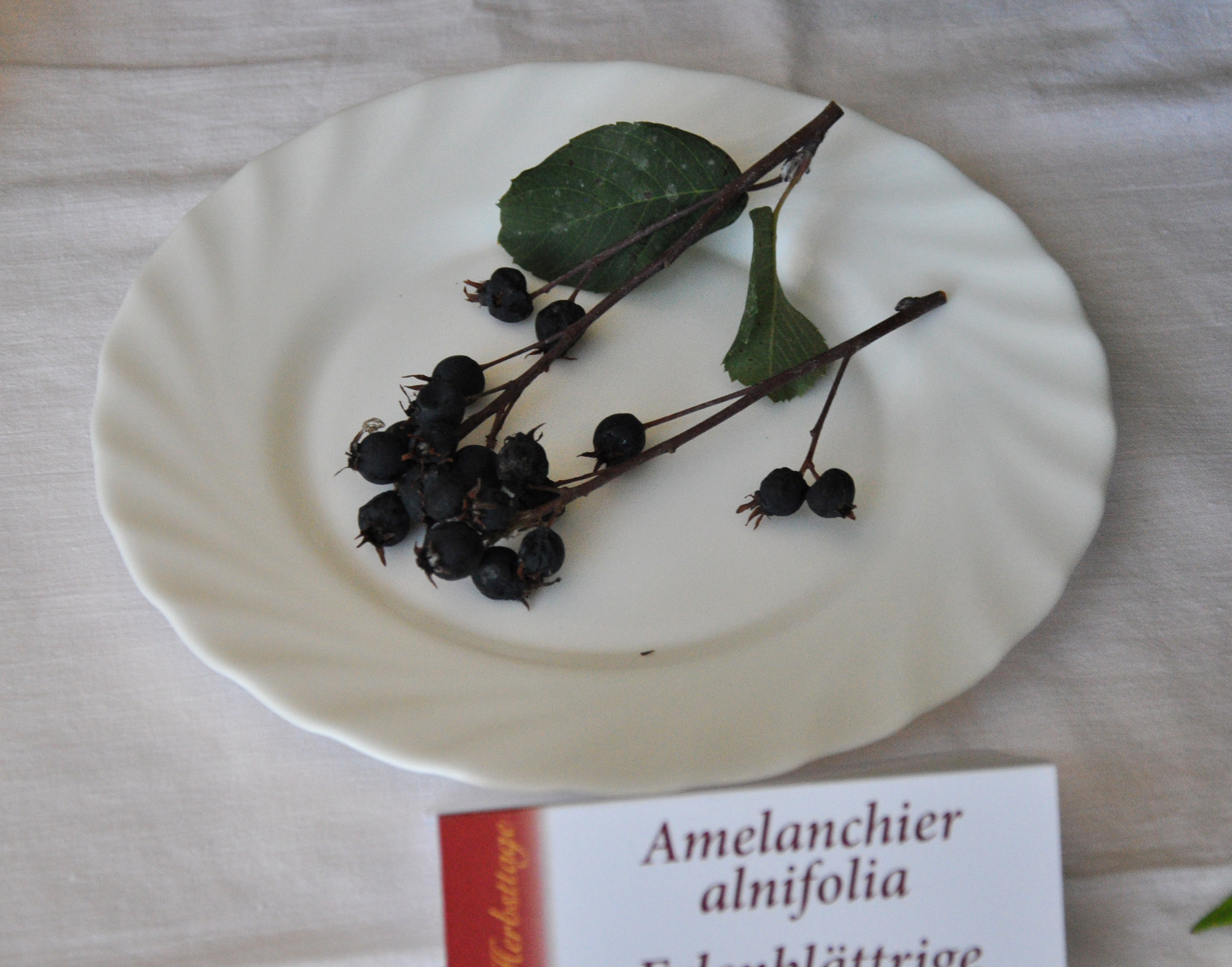 Obstsortenausstellung seltenes, besonderes und wildes Obst – Wiener ...