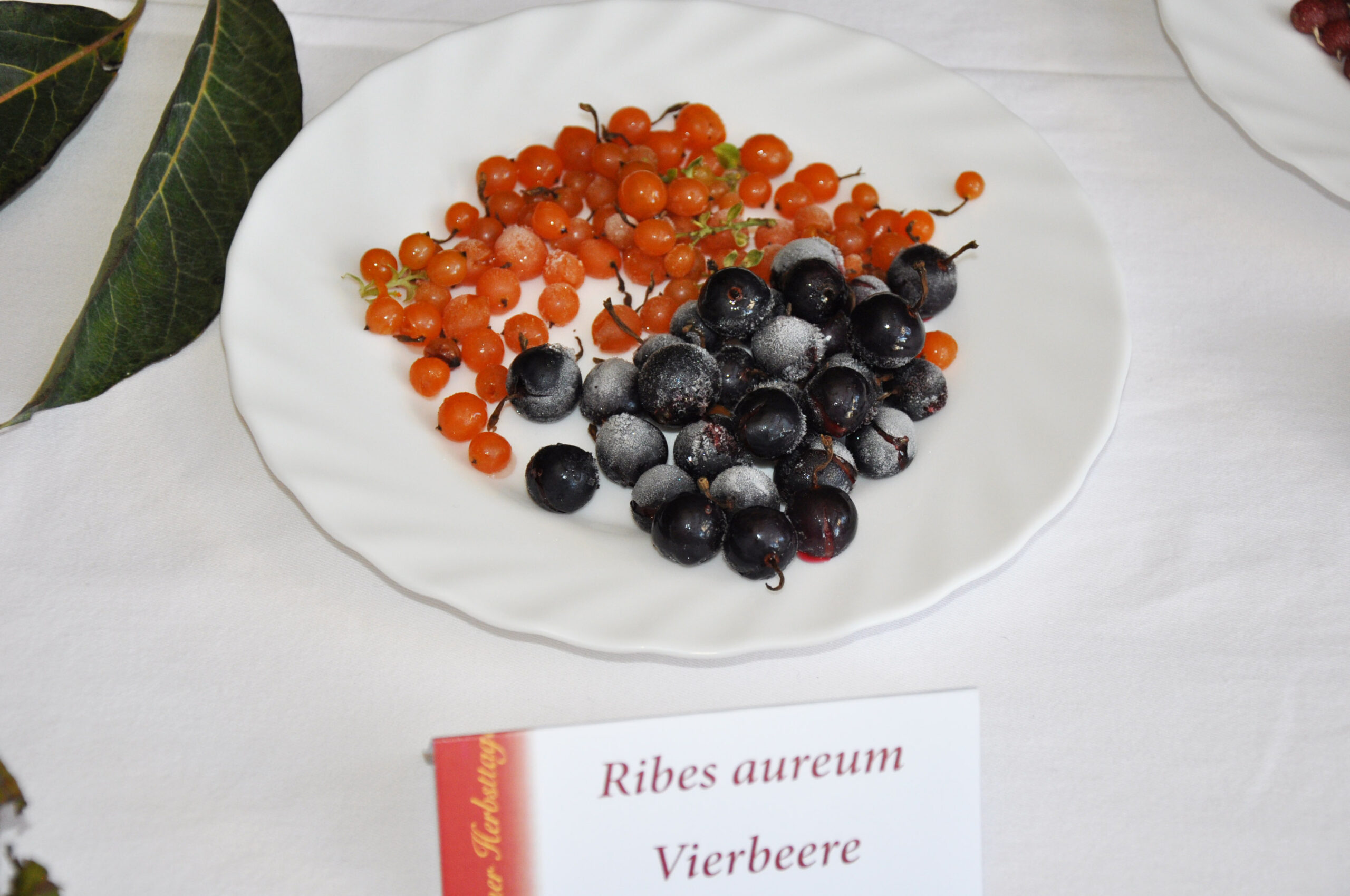 Obstsortenausstellung seltenes, besonderes und wildes Obst – Wiener ...