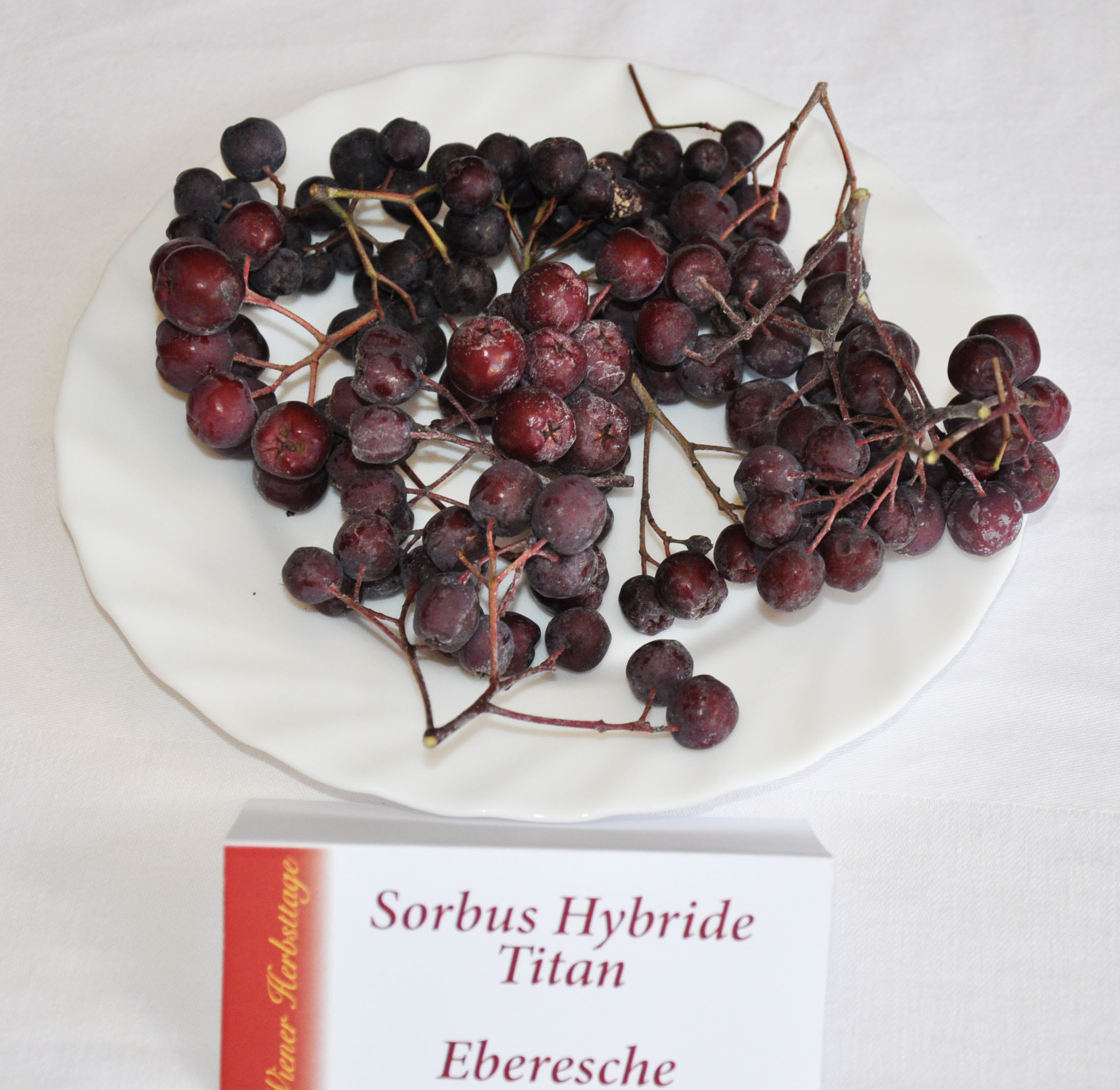 Obstsortenausstellung seltenes, besonderes und wildes Obst – Wiener ...