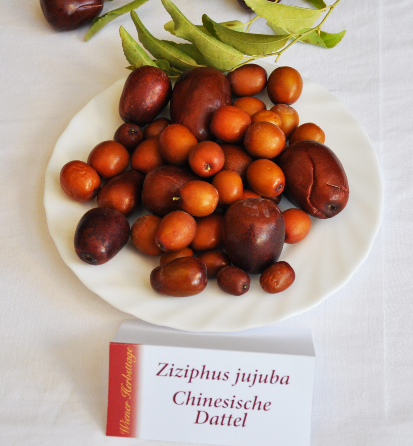 Obstsortenausstellung seltenes, besonderes und wildes Obst – Wiener ...