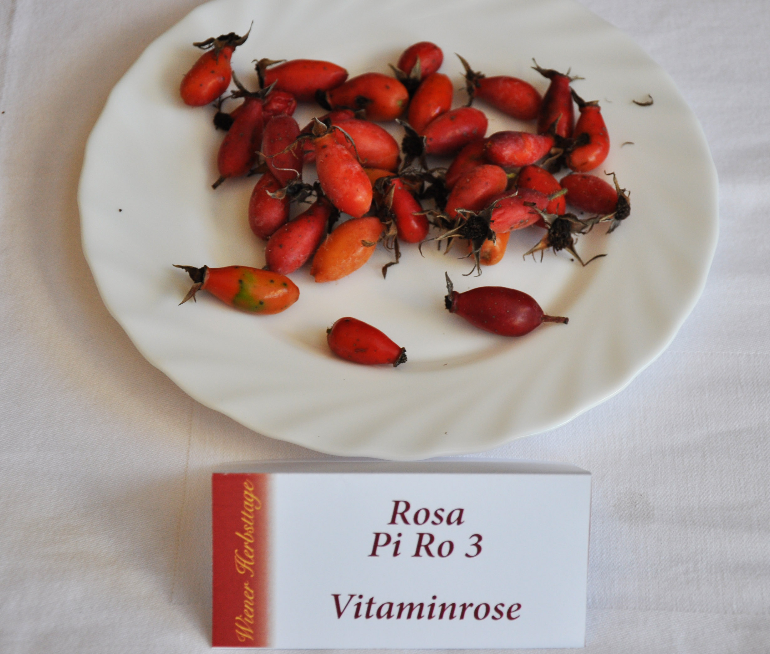 Obstsortenausstellung seltenes, besonderes und wildes Obst – Wiener ...