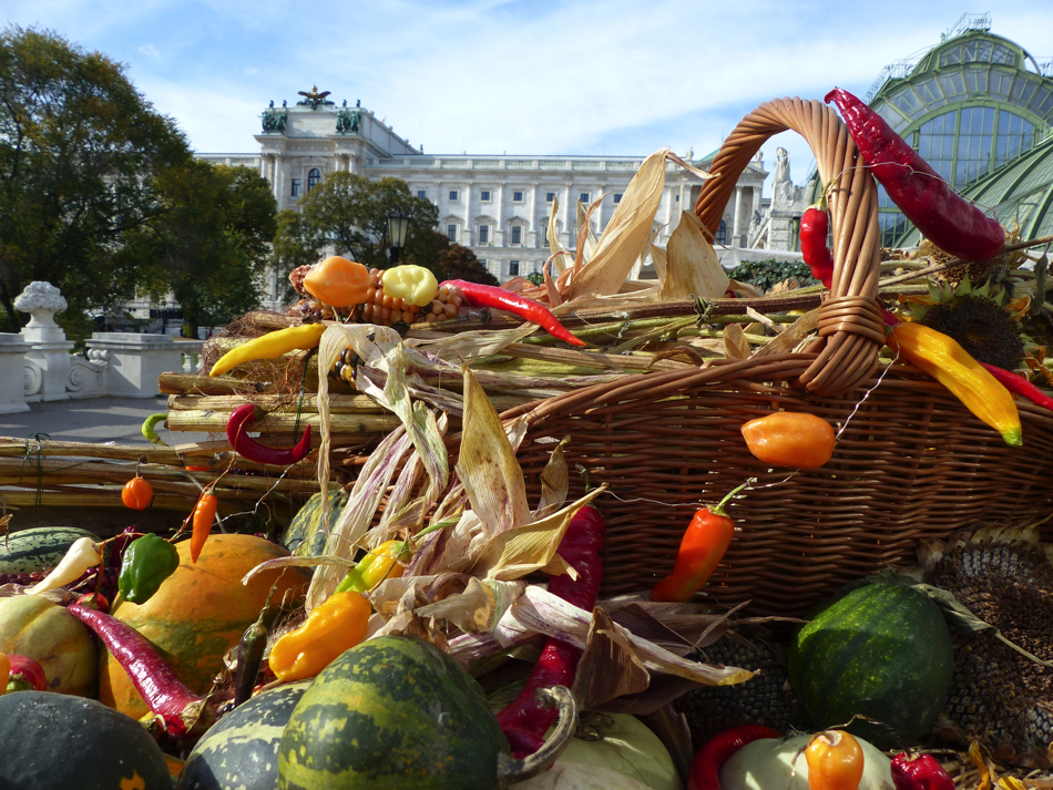 Das waren die 6. Wiener Herbsttage – Wiener Herbsttage